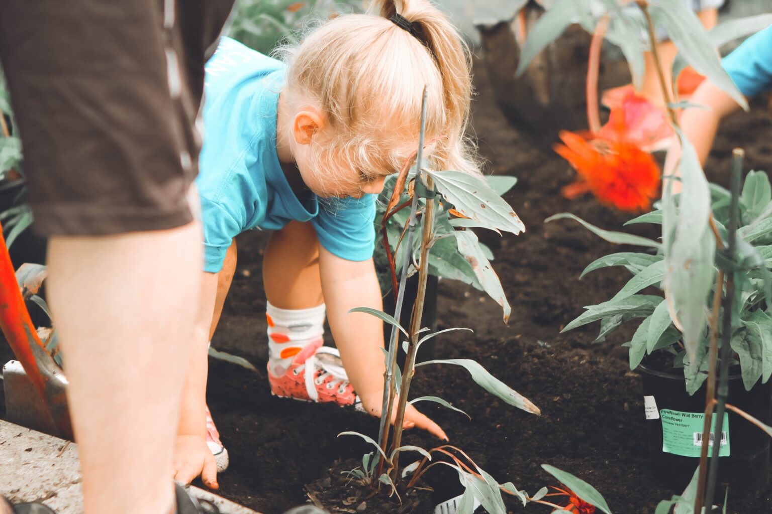 Summer gardening camp for young children - Hanna Perkins Center for ...